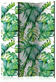 Paraván Jungle Leaves Dekorhome 135x172 cm (3-dílný)