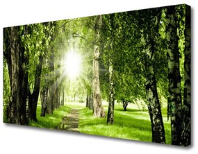 Obraz na plátně Les Slunce Stezka Příroda 120x60 cm