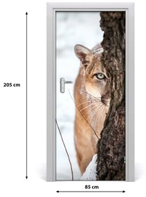 Fototapeta samolepící na dveře horská puma 85x205 cm