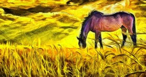 Obraz Malovaný Kůň V Poli Nedostatek Nedostatek Plátno Canvas 100x70