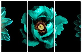 Vícedílný obraz Tyrkysové Květy Na Černém Pozadí Nedostatek Nedostatek Přírodní plátno 150x100