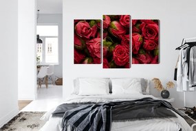 Vícedílný obraz Růže S Kapkami Vody Nedostatek Nedostatek Přírodní plátno 60x40