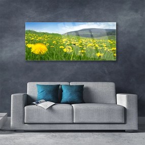 akrylový obraz Pampeliška Příroda 125x50 cm