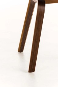 Jídelní židle Egdware - dřevo a látkový potah | ořech a hnědá
