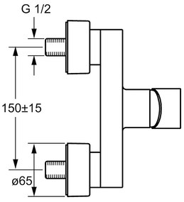 Hansa Sprchová nástěnná páková baterie HANSALIGNA 6670103