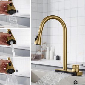 Rea Conor, kuchyňská baterie h-400, zlatá matná, REA-B6312