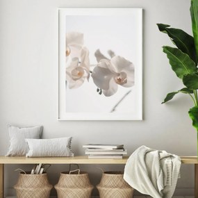 Plakát - Bílá orchidej (A4)