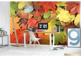 DIMEX | Vliesové fototapety na zeď Pestrobarevné listí MS-5-0115 | 375 x 250 cm| červená, zelená, žlutá, hnědá