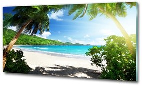 Wallmuralia Moderní skleněný obraz z fotografie Seychely pláž 100x50