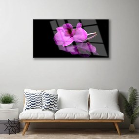 Plexisklo-obraz Květiny Mtvá Příroda 100x50 cm