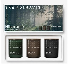 Dárková sada vonných svíček Hibernate - 3 ks Skandinavisk