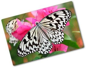 Wallmuralia Kuchyňská deska skleněná Motýl na květině 80x52 cm