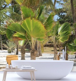 Gario Fototapeta Palmy na tropické pláži Materiál: Vliesová, Rozměry: 100 x 100 cm