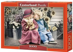 Castorland puzzle první láska 1000 dílků