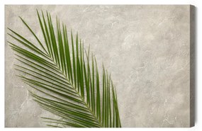 Obraz Palmový List Na Betonovém Pozadí Nedostatek Nedostatek Přírodní plátno 120x80