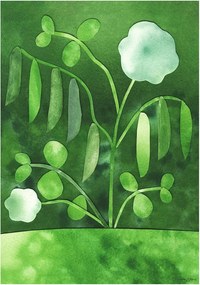 Plakát 50x70 cm Peas in Bloom – Anna Ravn Bjørn – The Poster Club