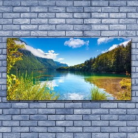 Plexisklo-obraz Hory Les Příroda Jezero 120x60 cm
