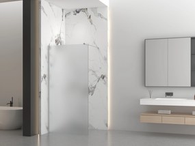 Erga Paris, sprchová zástěna Walk-In 140x200 cm, 8mm sklo námraza, broušená ocel, ERG-V02-PARIS-140x200-FR-BS