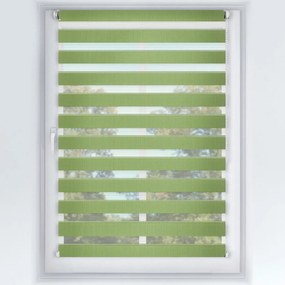 FEXI Roleta Den a noc, Origin slim zelené jablko, A 042, 150x33 cm
