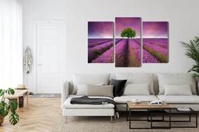 Vícedílný obraz Strom Uprostřed 3D Levandulového Pole Nedostatek Nedostatek Plátno Canvas 120x80