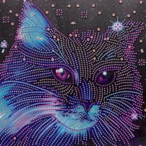 NORIMPEX Diamantové malování 7D Hvězdné kotě / 30x30 cm