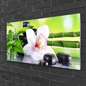 Obraz na skle Orchidej Kameny Zen Bambus 140x70 cm