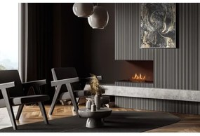 Planika Senso Fireplace BEV- Vestavěný BIO krb 56,2x75 cm 2,5kW+dálkové ovládání