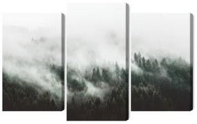 Vícedílný obraz Zamlžená 3D Lesní Krajina Nedostatek Nedostatek Plátno Canvas 120x80