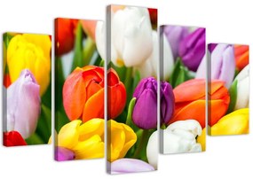 Gario Obraz na plátně Barevné tulipány - 5 dílný Rozměry: 100 x 70 cm