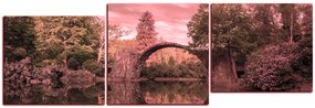 Obraz na plátně - Most v parku v Kromlau - panoráma 5246VE (90x30 cm)