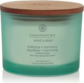 CHESAPEAKE BAY CANDLE Vonná svíčka Balance  Harmony velká / 3 knoty /