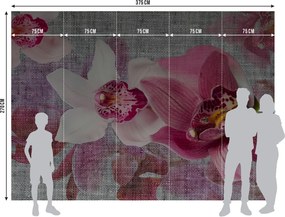 Fototapeta na míru Smyslné Orchideje | Vliesová fototapeta na zed' | DFTNXXL1148