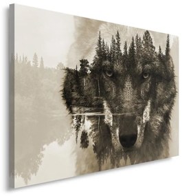 Obraz na plátně Vlk SALONOU na pozadí přírodního lesa - 60x40 cm