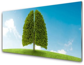 akrylový obraz Tráva Strom Plíce Příroda 140x70 cm