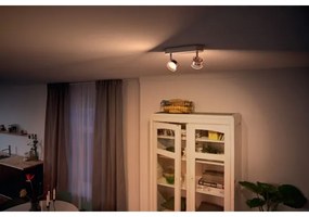 Philips 50562/11/P0-LED Stmívatelné svítidlo MYLIVING WORCHESTER 2xLED/4,5W/230V