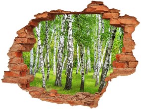 Wallmuralia Nálepka fototapeta 3D výhled Břízový les 90x70 cm