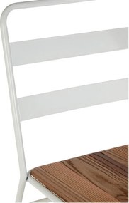 Bílá/v přírodní barvě jídelní židle z jilmového dřeva District – Premier Housewares