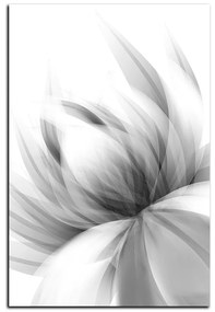 Obraz na plátně - Elegantní květ - obdélník 7147QA (100x70 cm)