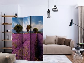 Paraván - Lavender field in Provence, France [Room Dividers]