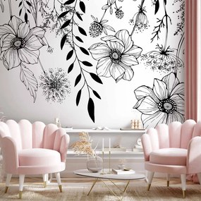 Fototapeta Grafická louka - motiv polních květů v lineárním stylu na bílém pozadí