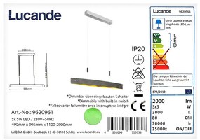 Lucande | Lucande - LED Stmívatelný lustr na lanku LIO 5xLED/5W/230V | LW0759