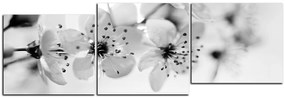 Obraz na plátně - Malé květy na větvi - panoráma 5173QE (120x40 cm)