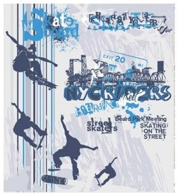 DIMEX | Vliesová fototapeta na zeď Skate MS-3-0313 | 225 x 250 cm | modrá, šedá