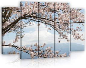 Obraz 150x100 Kvetoucí Sakura Hora Fudži Japonsko jaro krajina příroda