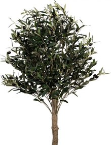 Dekorace umělý stromek olivovník s olivami Olea Tree - 50*50*165 cm