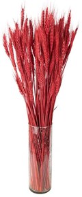 Sušené květy pšeničná tráva červená 80 cm (200 g) – 80  cm