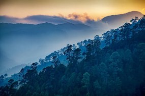 Fototapeta Lesní Hory Omyvatelný vlies 405x270