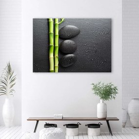 Gario Obraz na plátně Bambus a zenové kameny na černém pozadí Rozměry: 60 x 40 cm