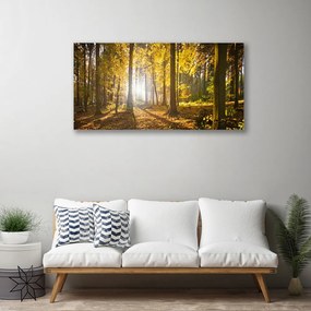 Obraz na plátně Les Listy Rostlina Příroda 125x50 cm
