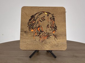 Li-Go "Jezevčík dlouhosrstý " lampa 19x19 cm provedení povrchu: dub